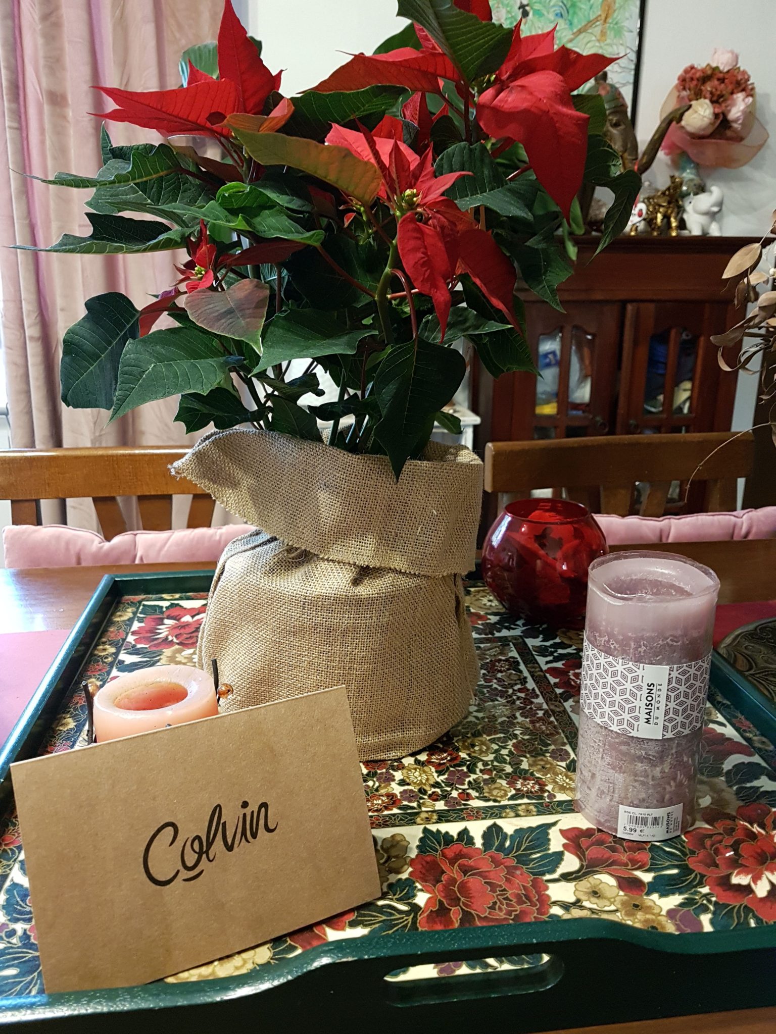 Piante e fiori online: Colvin e le sue offerte - Notizie In Vetrina