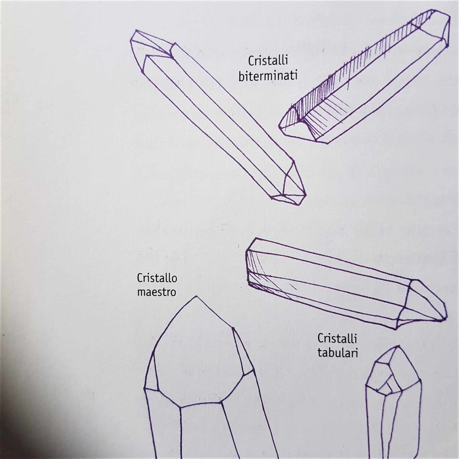 Come utilizzare i cristalli in base al tipo e alla forma - Notizie In ...
