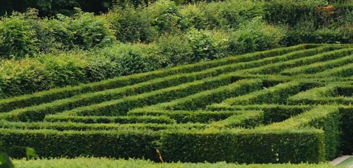 Castello di Schönbrunn: un gioiello barocco a Vienna - Notizie In Vetrina